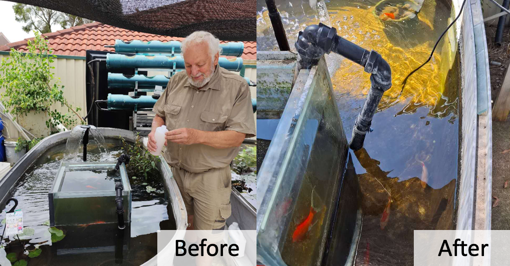 The Beginning of a Transformative Journey – BBA Biosolution