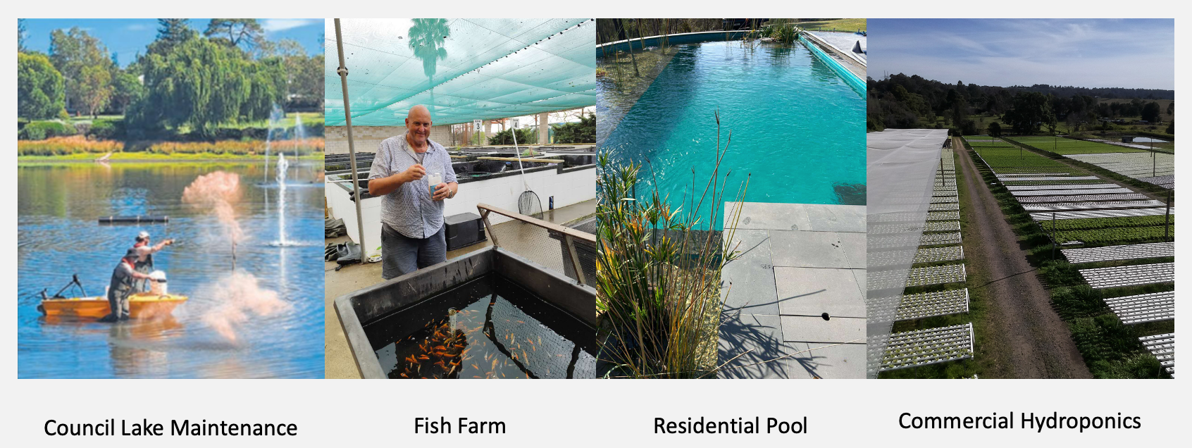 Beneficial Bacteria - Nurturing Nature's Solutions – BBA Biosolution